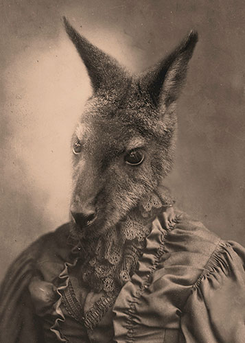 Wanda Wallaby - Victorian Creatures